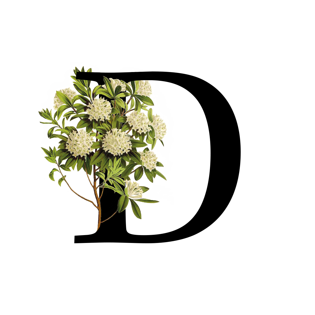 Plantas Com A Letra D - NAZAEDU